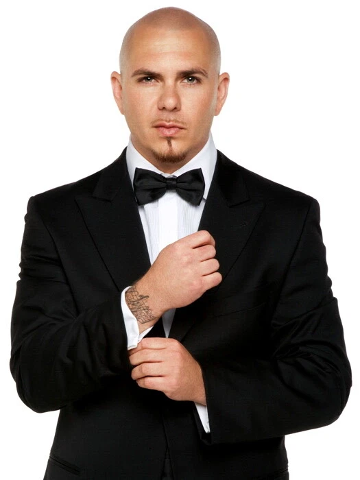 Pitbull Tattoos Singer