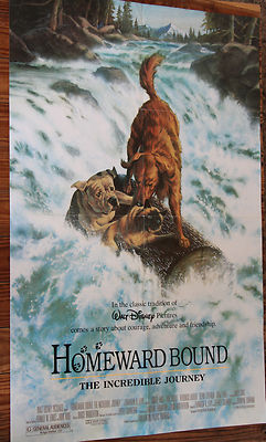 Used - Cartel de Cine HOMEWARD BOUND Vintage Movie Film Poster - Usada ...