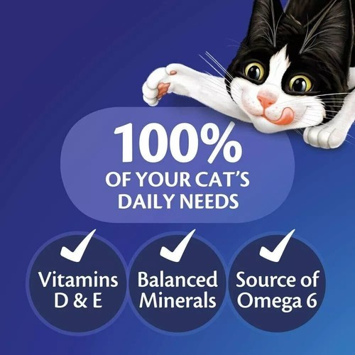 Felix As Good As It Looks Meat Menus Wet Cat Food 60 X 85g Bulk Value ...