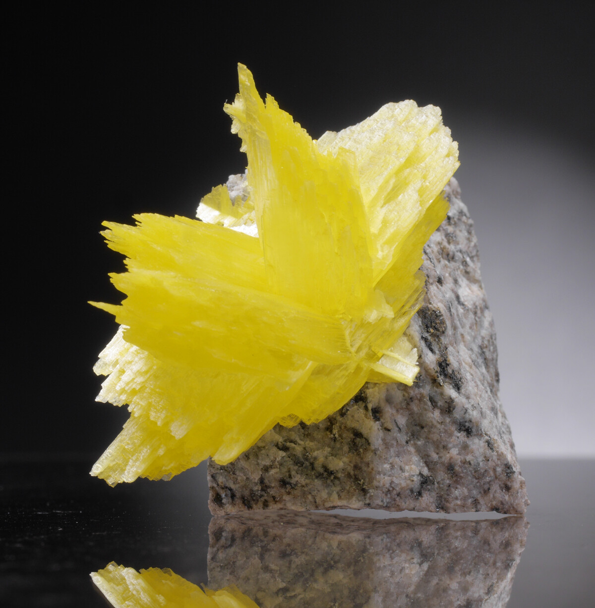 Arcanite crystals on matrix from Poland yellow like wulfenite | eBay