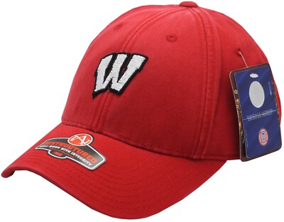 Wisconsin Badgers Fitted Hat by American Needle Distructure | eBay