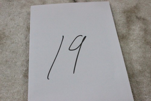 Rare Never Published Sports Review Apartment Wrestling Large Photo (19 ...