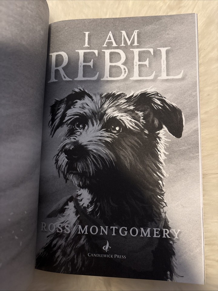 I Am Rebel by Ross Montgomery 9781536246803| eBay