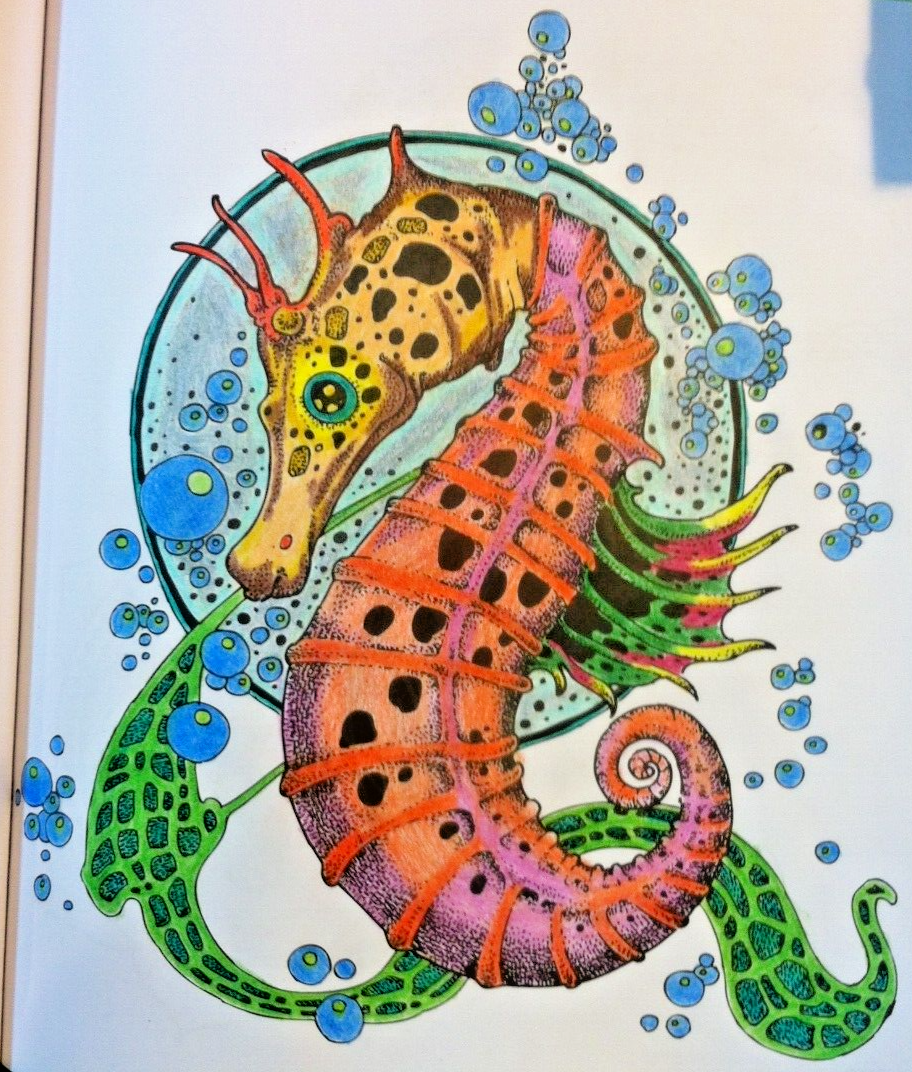 Seahorse Pencil Drawing
