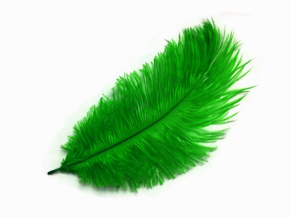 10 Pieces - 8-10" Kelly Green Ostrich Dyed Drabs Feathers Halloween ...