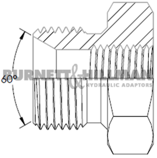 Burnett & Hillman BSP 1-1/2" Male 60° Cone x BSP 1/2" Fixed Female Bush ...