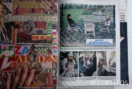 clips l 916 MARISOL PEPA FLORES carlos goyanes | eBay