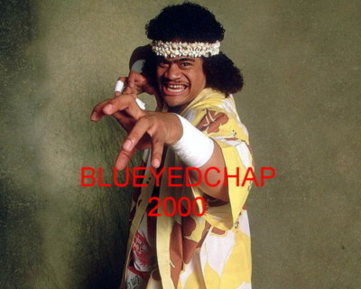 ISLANDER TAMA WRESTLER 8 X 10 WRESTLING PHOTO WWF WCW | eBay