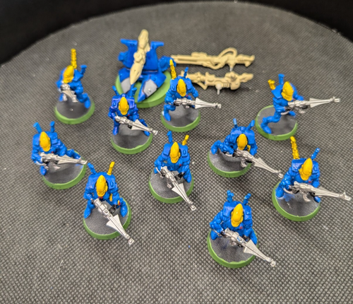 Warhammer 40k Aeldari Studio Eldar Painted Guardians x10 w Weapon Platform Set A | eBay