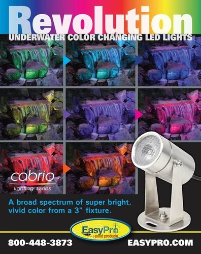 EasyPro Cabrio Color Changing LED Light Stainless Steel - NO transformer | eBay
