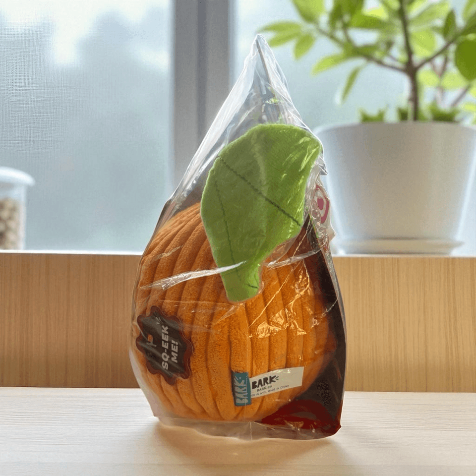 Bark Box Monster Madness Pumpkin Squeak Toy New! | eBay