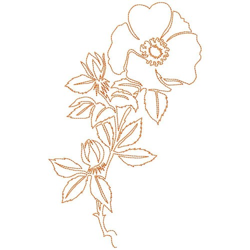 Free Motion Cherokee Rose 10 Machine Embroidery Designs CD in 7 sizes ...