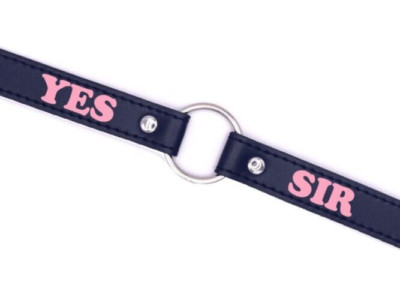 BDSM Collar Choker Faux Leather Submissive Kink Dom - Yes Sir Collar | eBay
