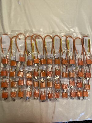 Regal Firearm Gun Safety Cable Lock Brand New R15SC3 15" 48 Locks | eBay