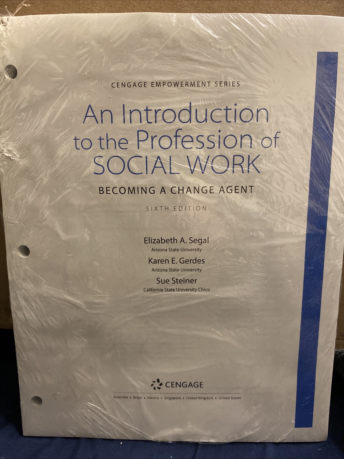 Introduction to the Profession of Social Work : Becoming a Change Agent ...