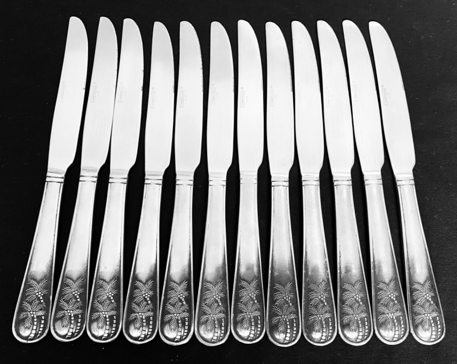 CAMBRIDGE STAINLESS FLATWARE DINNER KNIVES PALM TREE SET OF 12 | eBay