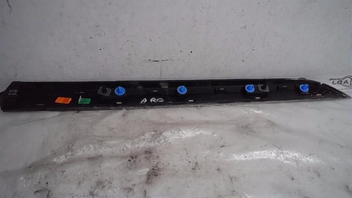 Baguette de porte arriere gauche RENAULT CLIO 5 PHASE 1 828771246R | eBay