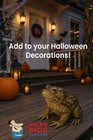 10" Giant Cottage Core Realistic Frog Toad Garden Prop Decoration ...