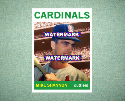 Mike Shannon St Louis Cardinals 1964 Style Custom Baseball Art Card | eBay