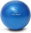 Ball Small Exercise Ball, 9 Inch Bender Ball, Mini Soft Yoga Ball ...