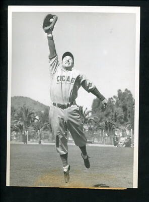 Ripper Collins 1939 Type 1 Press Photo Chicago Cubs Spring Training at ...