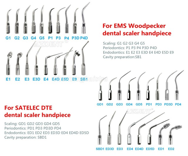 5x Dental Woodpecker Scaling Tip Gd4 for Dte Satelec Ultrasonic Scaler ...