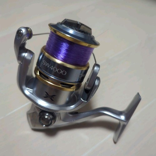 Shimano 13 Biomaster SW 4000XG Spinning Reel Saltwater Fishing Used | eBay