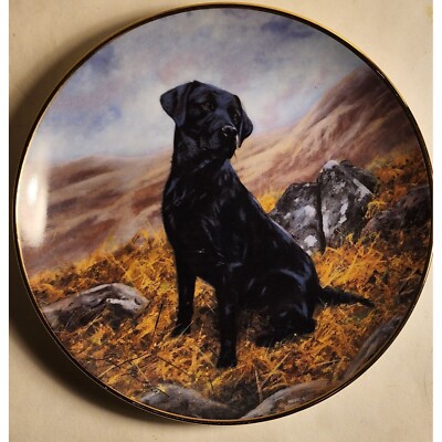 Black Labrador Collector Plate | eBay