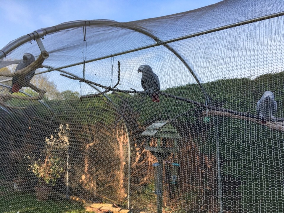 Zoo Animal Mesh / Aviary Mesh - Knitted Stainless Steel Wire Mesh ...
