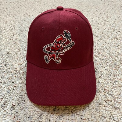Macon Bacon Ball Cap Hat Adult MILB Minor League Baseball Georgia | eBay