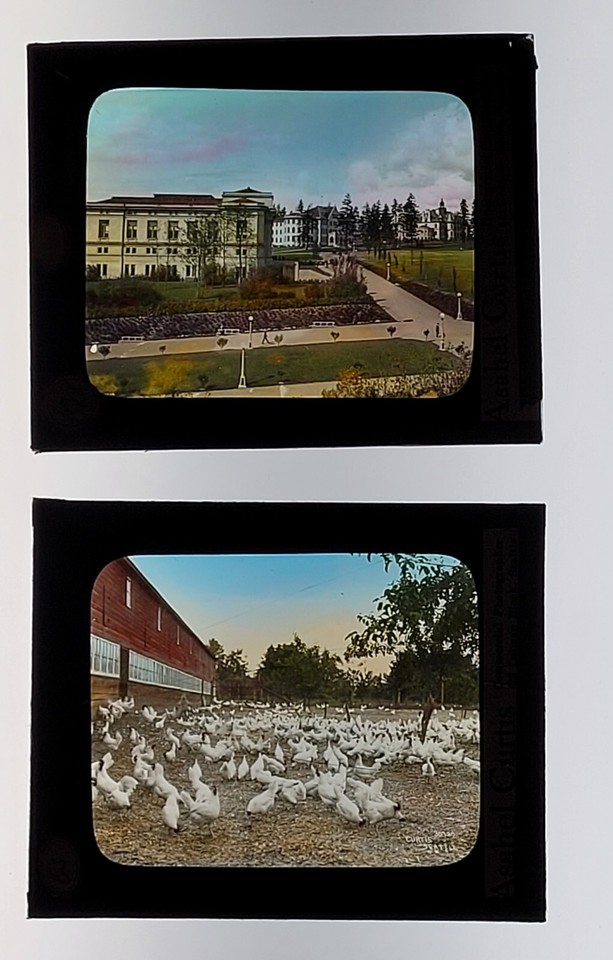 ASAHEL CURTIS LANTERN SLIDES GLASS SEATTLE LANTERN VINTAGE ORIGINAL | eBay