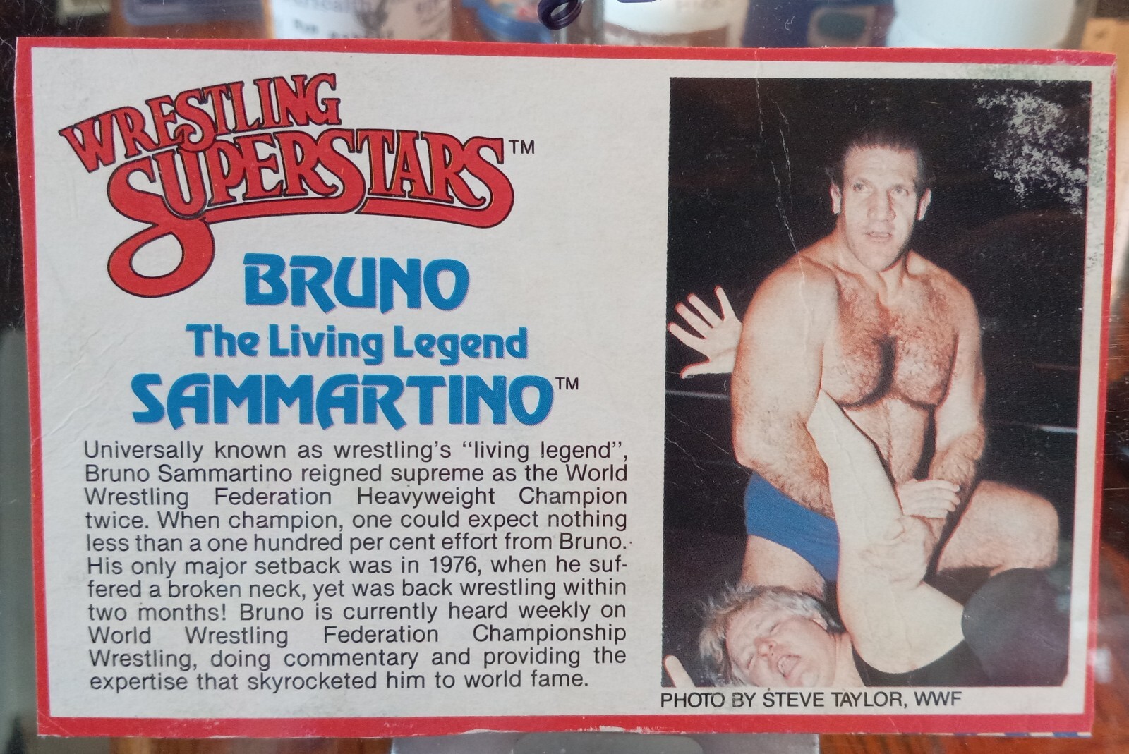 WWE Bruno Sammartino WWF LJN Bio Card Wrestling Used Classic NWA AWA ...