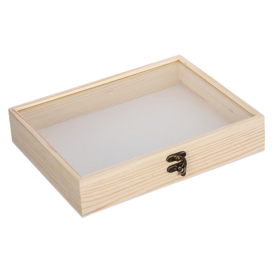 Display Box: Insect Specimen Frame - 26x20cm Diy Specimen Collection ...