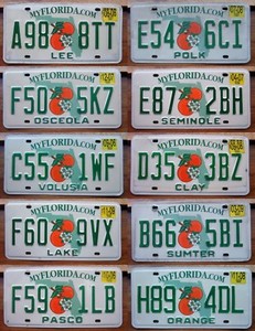 FLORIDA county names, several to choose from AMERICAN LICENSE NUMBER ...