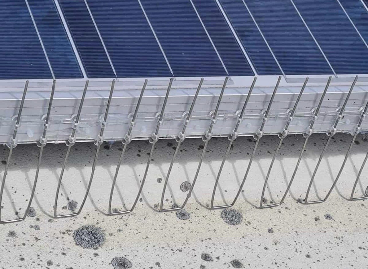 Solar Panel Bird Guard Spikes - Prevents Bird Access Under Panels | eBay UK