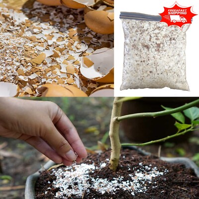Organic Crushed Eggshells 100g Chicken Egg Shell fertilizer Calcium ...