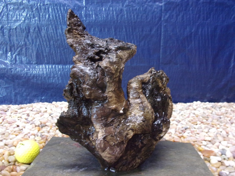 Medium Driftwood Mounted on Slate 11"x08"x09" Aquarium Reptile Natural ...