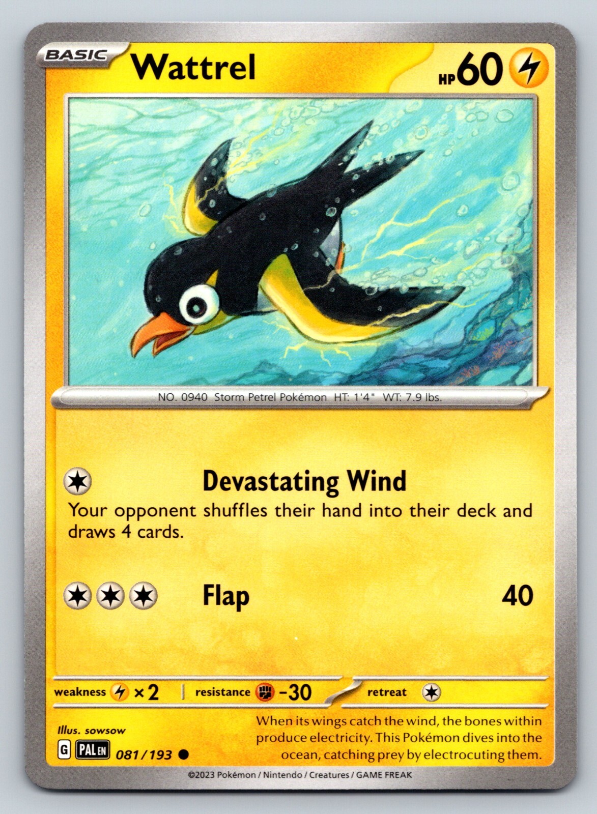 Wattrel #081/193 Pokémon TCG Paldea Evolved Regular Common | eBay