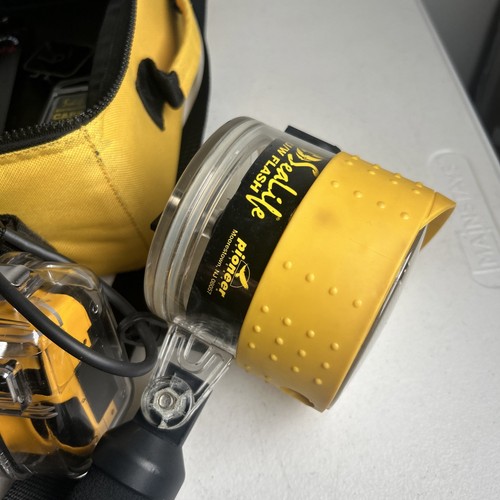 SeaLife Underwater Camera Kit- 2 Cameras, Flash, Bag, & More- Fast ...