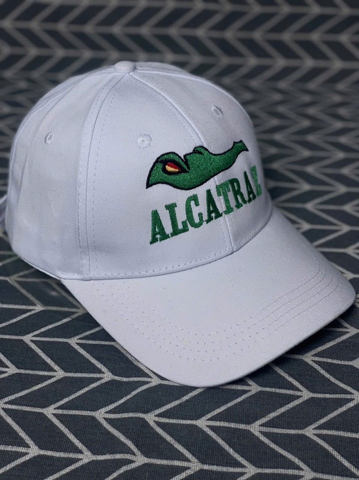 Alligator Alcatraz Cap, Gator Baseball Embroidered Hat Alligator ...