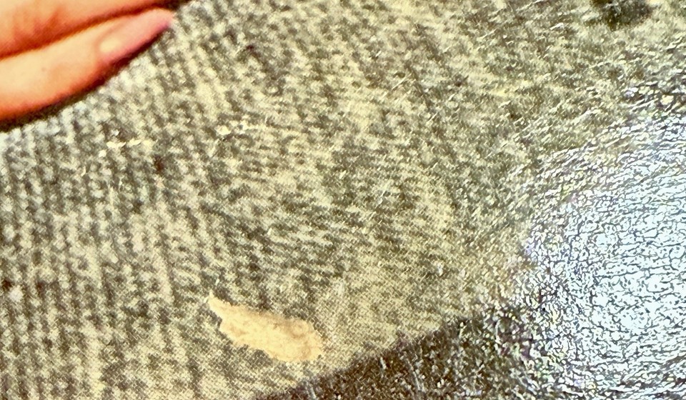 Bewitched Elizabeth Montgomery Wonder Books ~ 1965 Vintage Exc ...