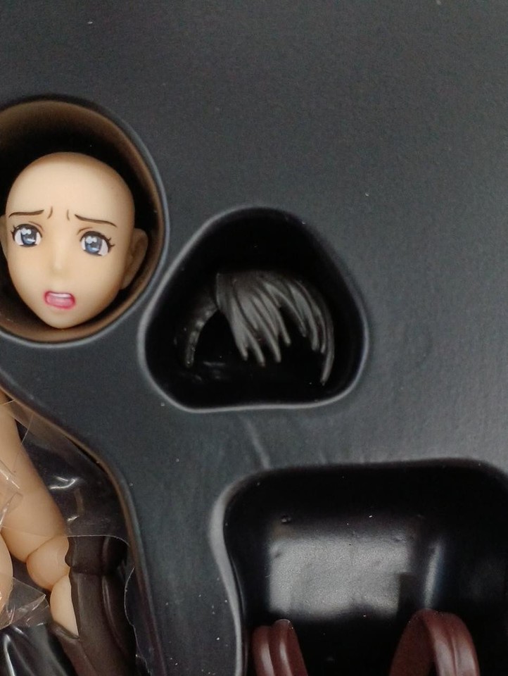 Revoltech Weapon Shop Cattleya | eBay UK