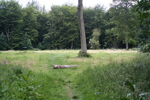 Photo 6x4 Micheldever Wood East Stratton An Iron Age Banjo enclosure or ...