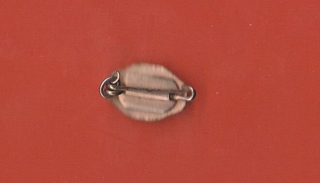 VINTAGE PHILADELPHIA PENN. PIN | eBay