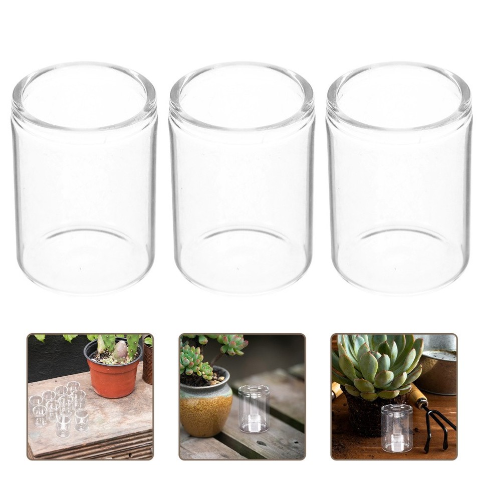 10 Pcs Test Tube Flower Vase Mini Bottle Glass Terrarium Jar Hydroponic ...