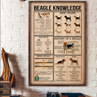 Beagle Knowledge Dog Poster | eBay