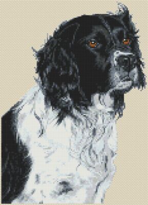 "Anticipation" Springer Spaniel Cross Stitch Design (kit or chart ...