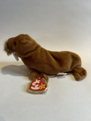 TY Beanie Baby Paul the Walrus 1999 | eBay