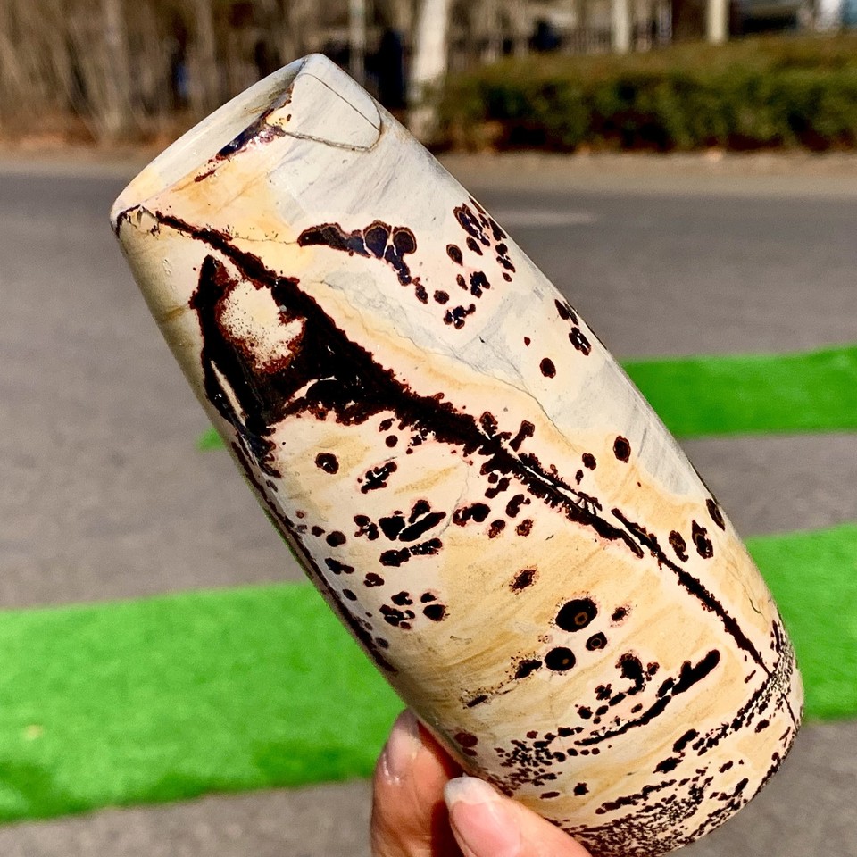 1.25LB Beautiful Natural Chinese Dendritic Limestone pen holder Stone ...