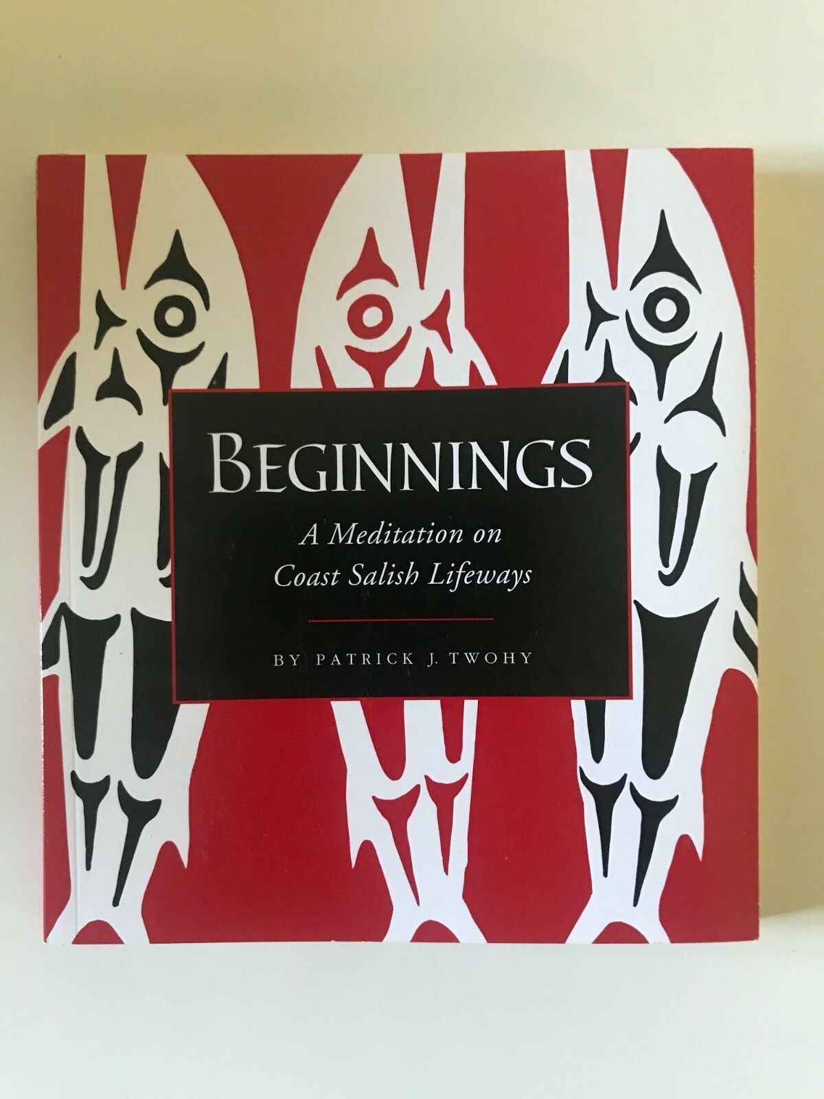 Beginnings : A Meditation on Coast Salish Lifeways by Patrick J. Twohy ...